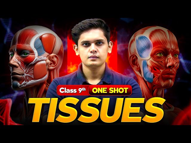 Video Summary - Tissues Complete Chapter🔥| CLASS 9th Science| NCERT ...