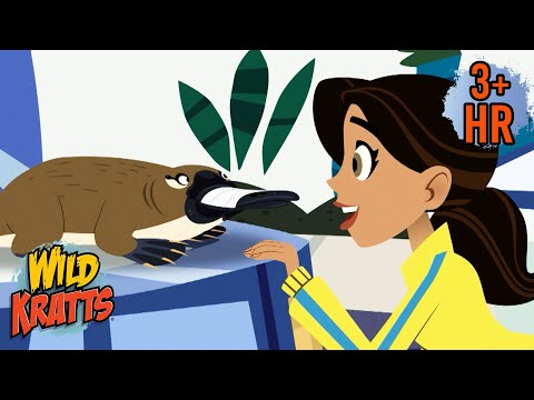 The Strangest Creature EVER! | The Platypus | Full Episodes | Wild Kratts