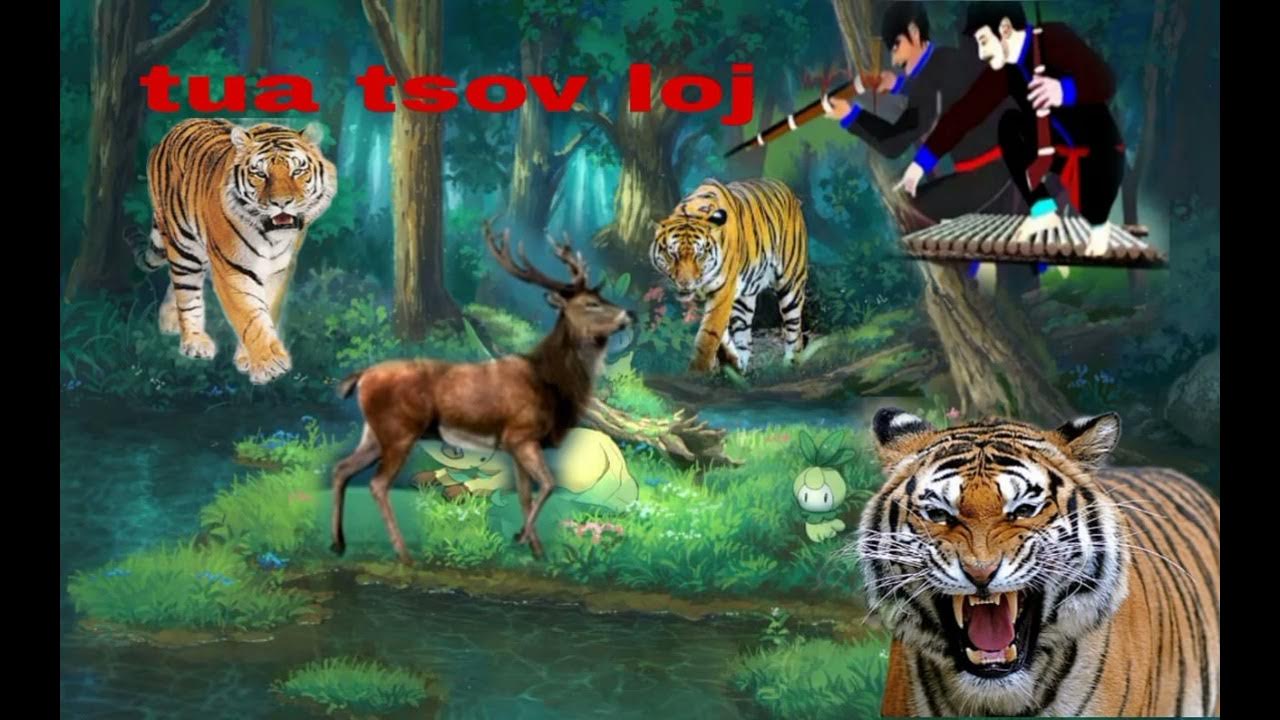 2 yawm yij dab laug mu zov tua tsov Los hu txaus ntshai heev li - YouTube