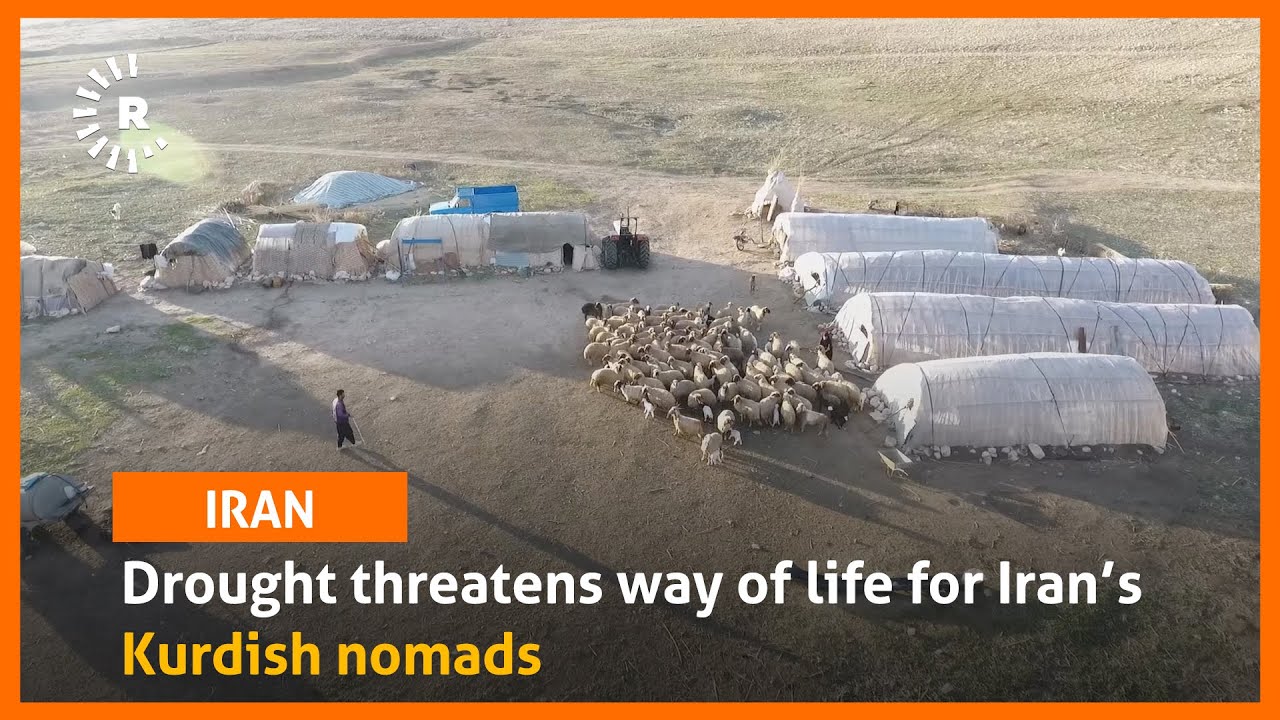 Drought threatens way of life for Iran’s Kurdish nomads - YouTube