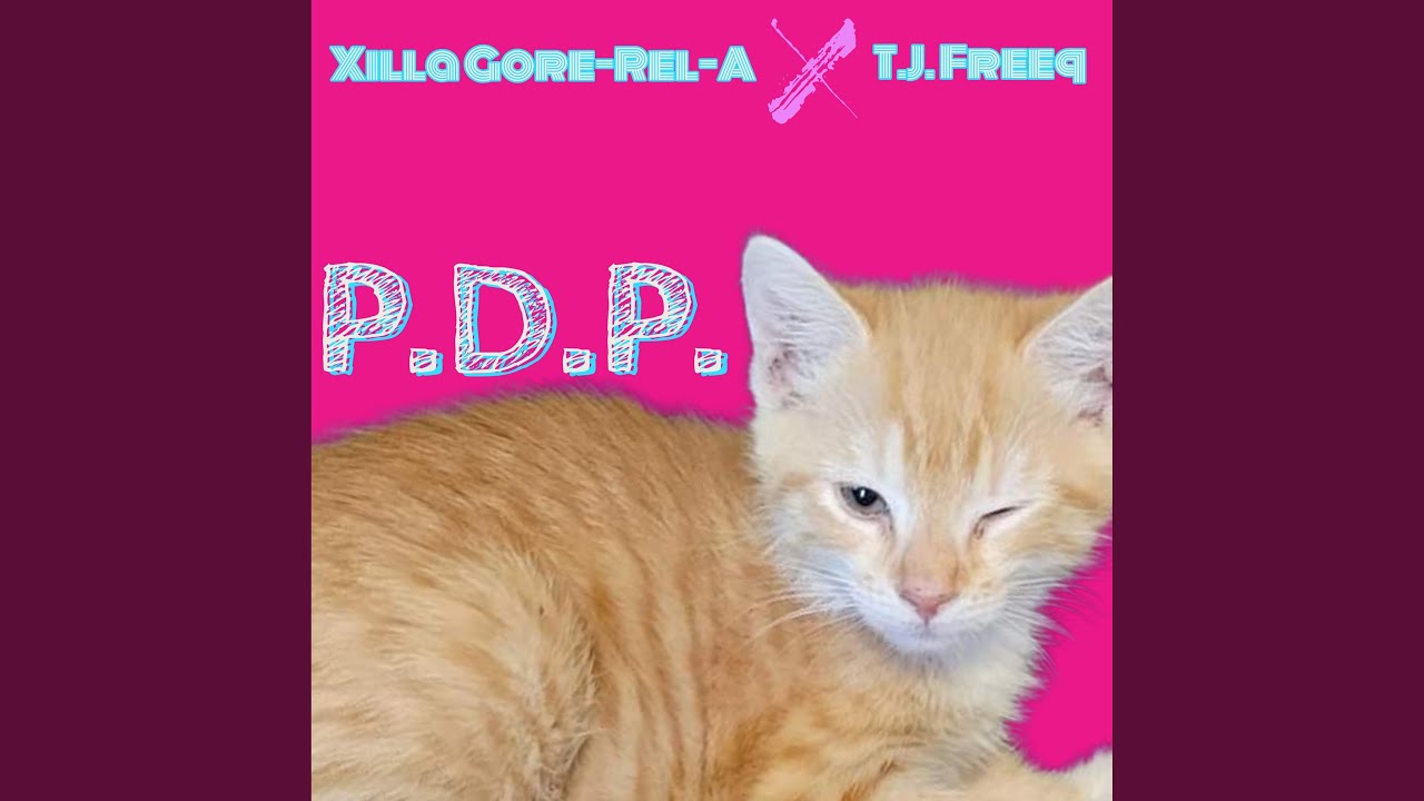 P D P YouTube p-d-p-youtube