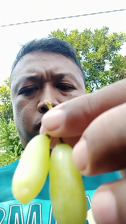 Challenge makan Blimbing wuluh - YouTube