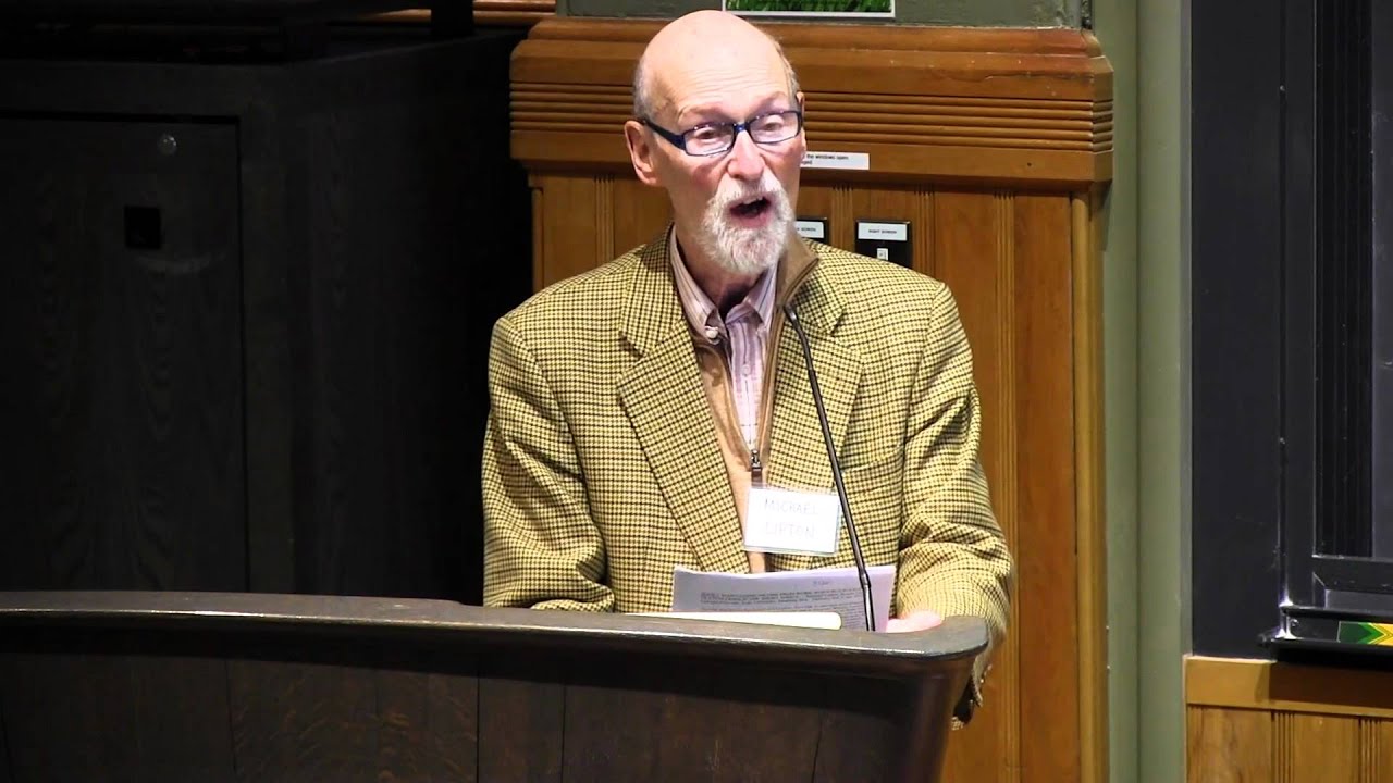 Michael Lipton at the Transition to New Economy Future - YouTube