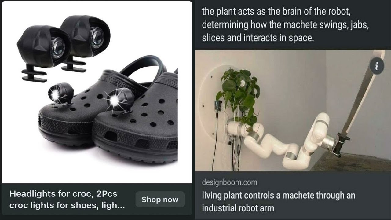 The Most Nonsensical Or Interesting Things That Actually Exist - YouTube