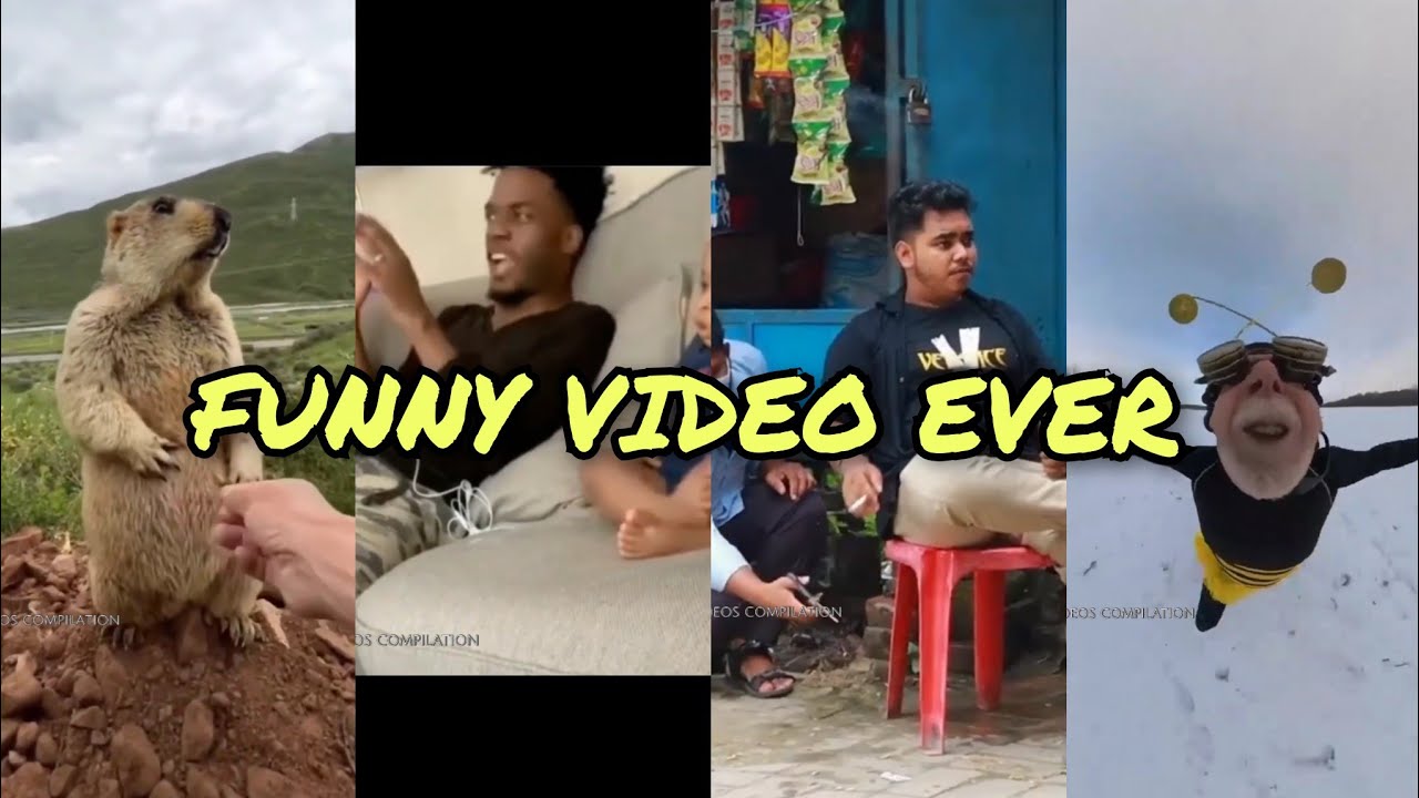 THE FUNNIEST VIDEO EVER! TRY NOT TO LAUGH !! - Videos Compilation - YouTube