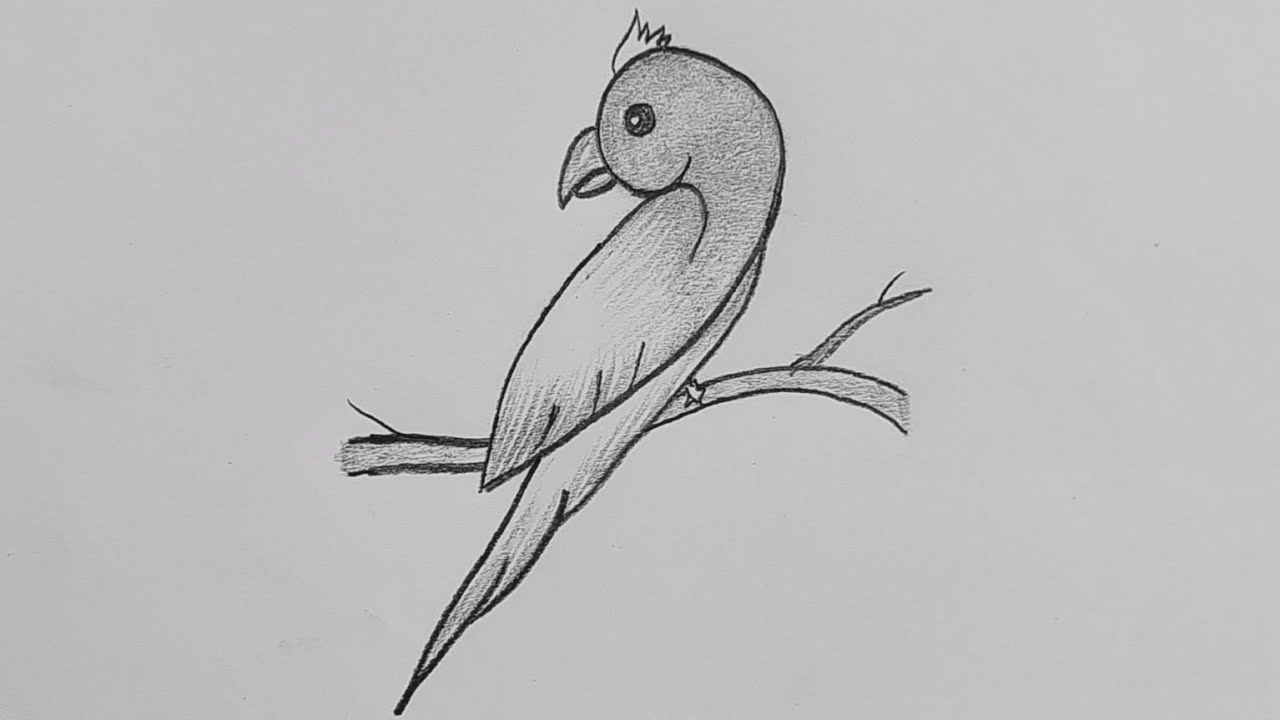 Bird drawing || Simple bird drawing|| Easy Bird Drawing Step By Step ...