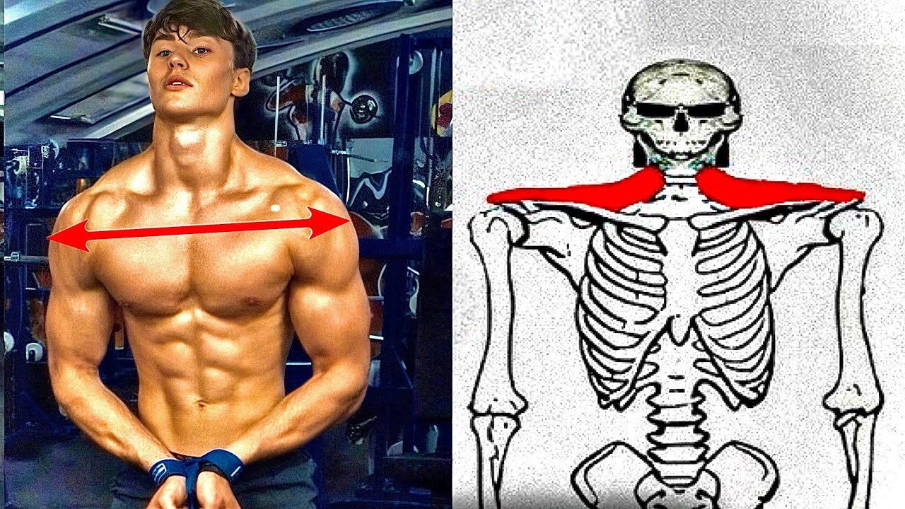 How To Get Wider Clavicles (Easiest & Simplest Ways) - YouTube
