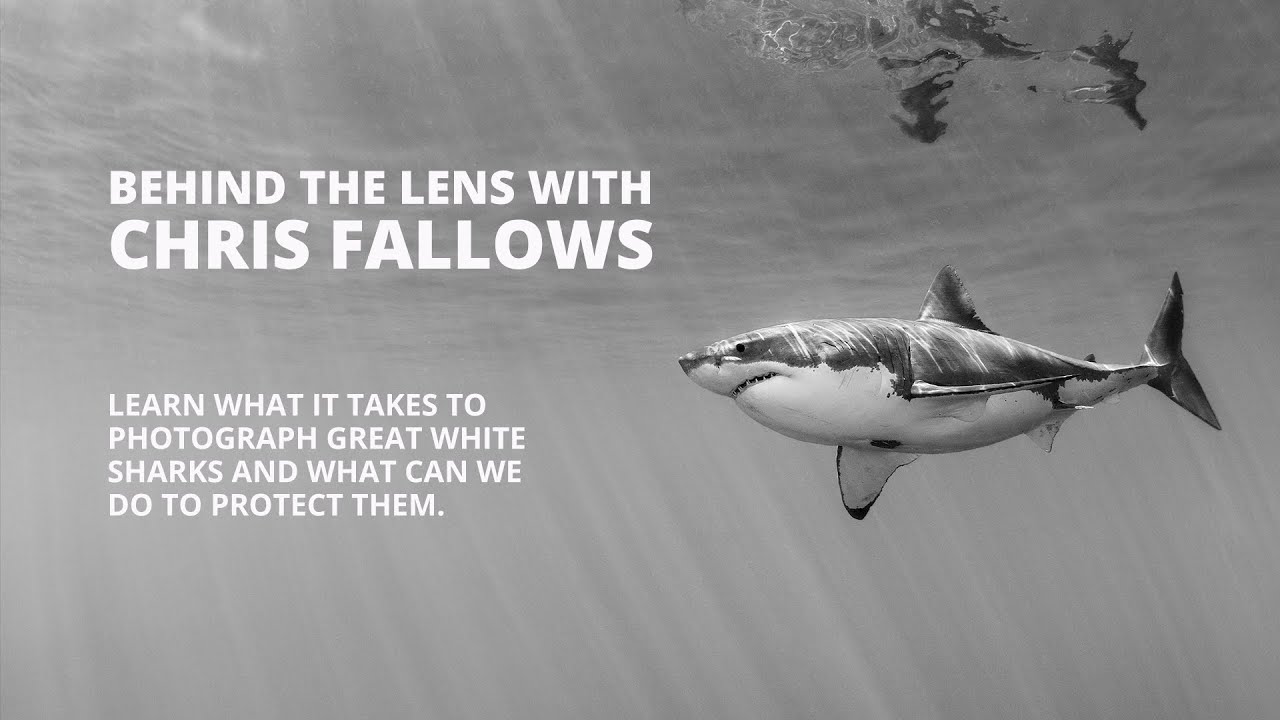 Behind The Lens With Chris Fallows - YouTube