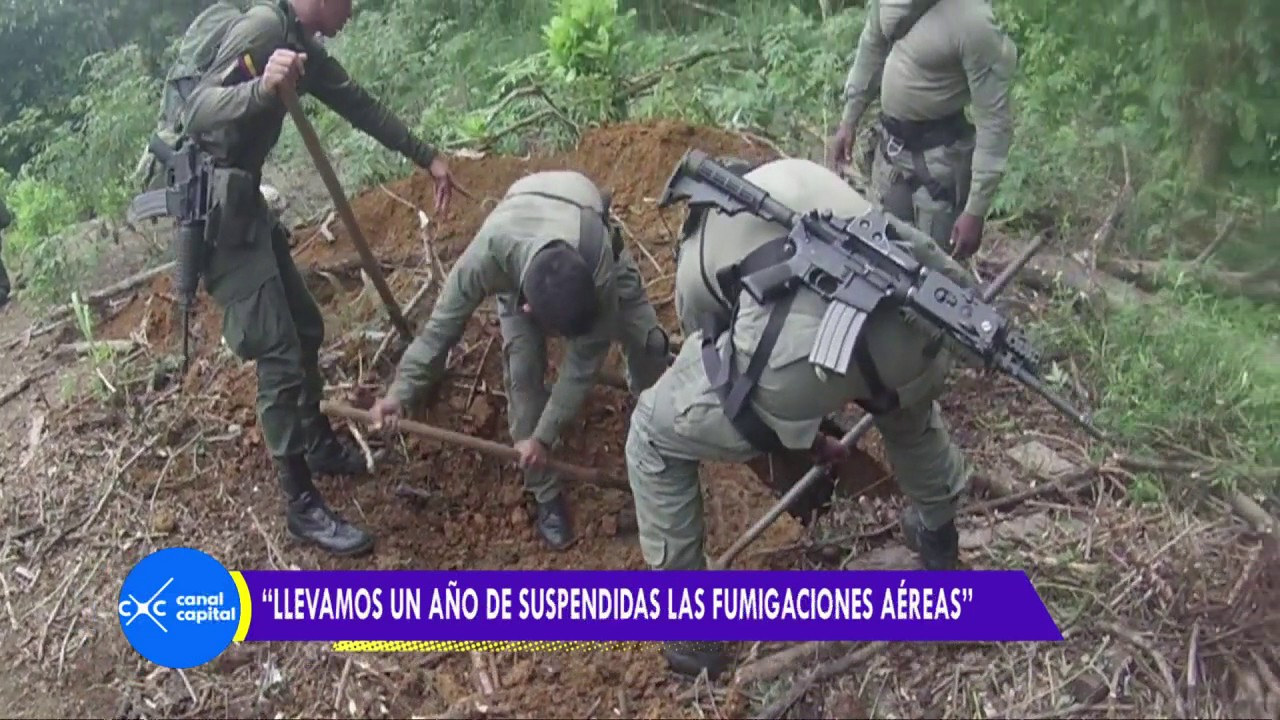 La Pepa de la lucha contra la droga en Colombia - YouTube