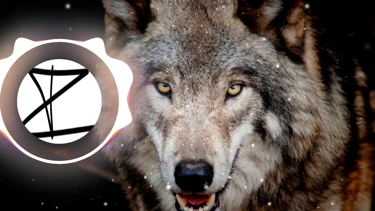 Wolf - lawnjelly (No Copyright Music) - YouTube