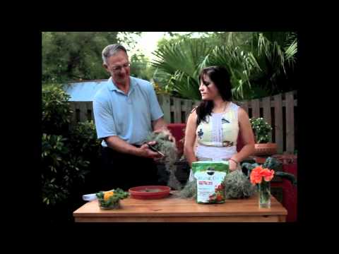 Garden Gurus: How-To Make Spanish Moss Fertilizer - YouTube