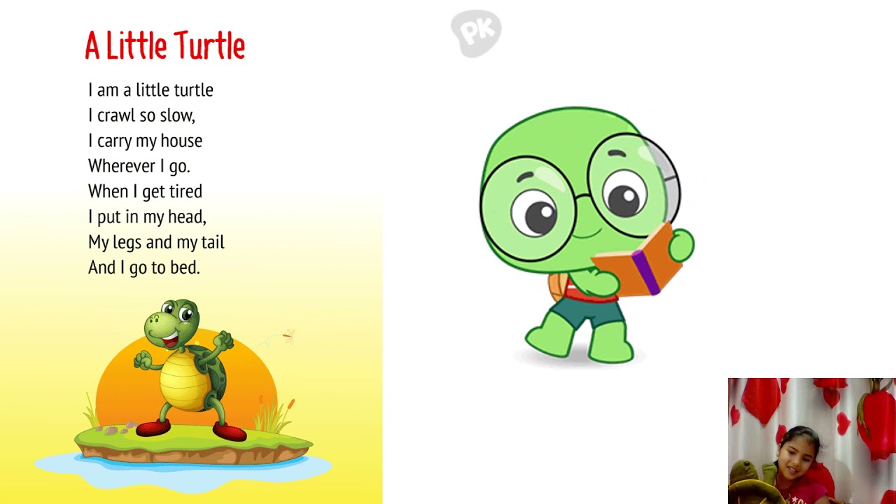 A little Turtle/Poem for kids - YouTube