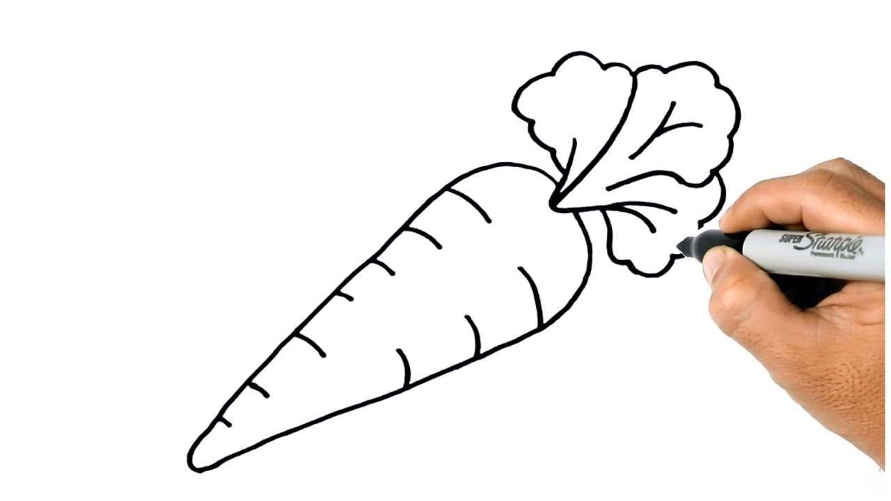 HOW TO DRAW A CARROT EASY STEP BY STEP - YouTube
