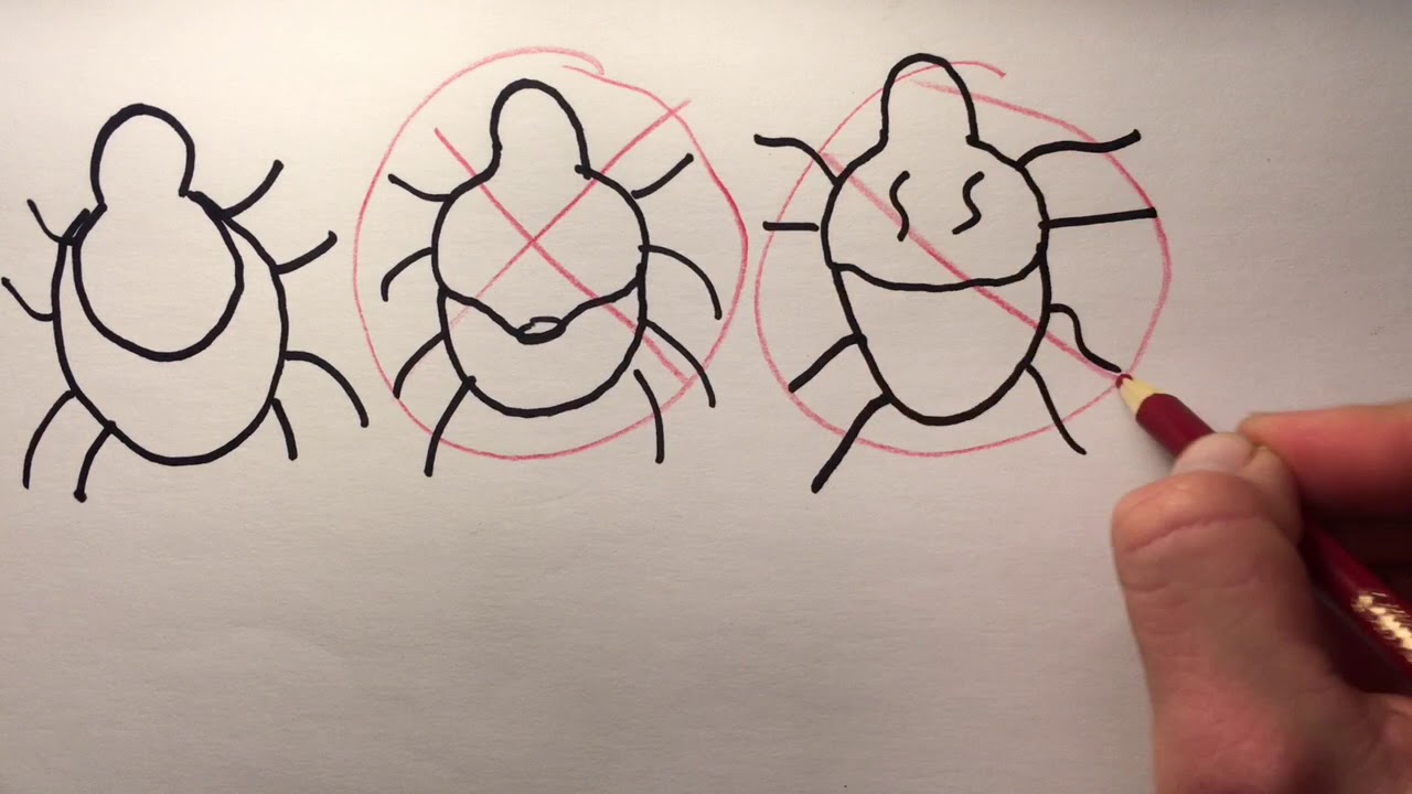 A Cartoon Intro to Lyme Disease - YouTube