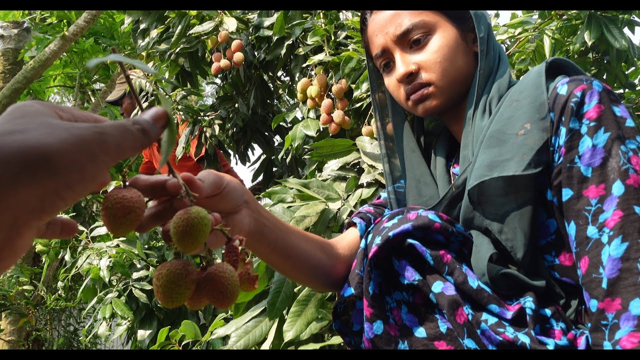 স্বার্থপর পাখি ভালোবাসার প্রতিদান এইভাবে দিল | Doyel Agro - YouTube