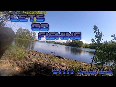 Lets Go Fishing with Cordell Smith: June 9, 2020 Gaspereau Lake. - YouTube