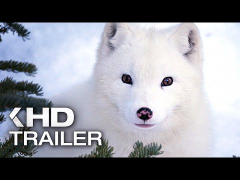 KINA & YUK Trailer German Deutsch (2025)