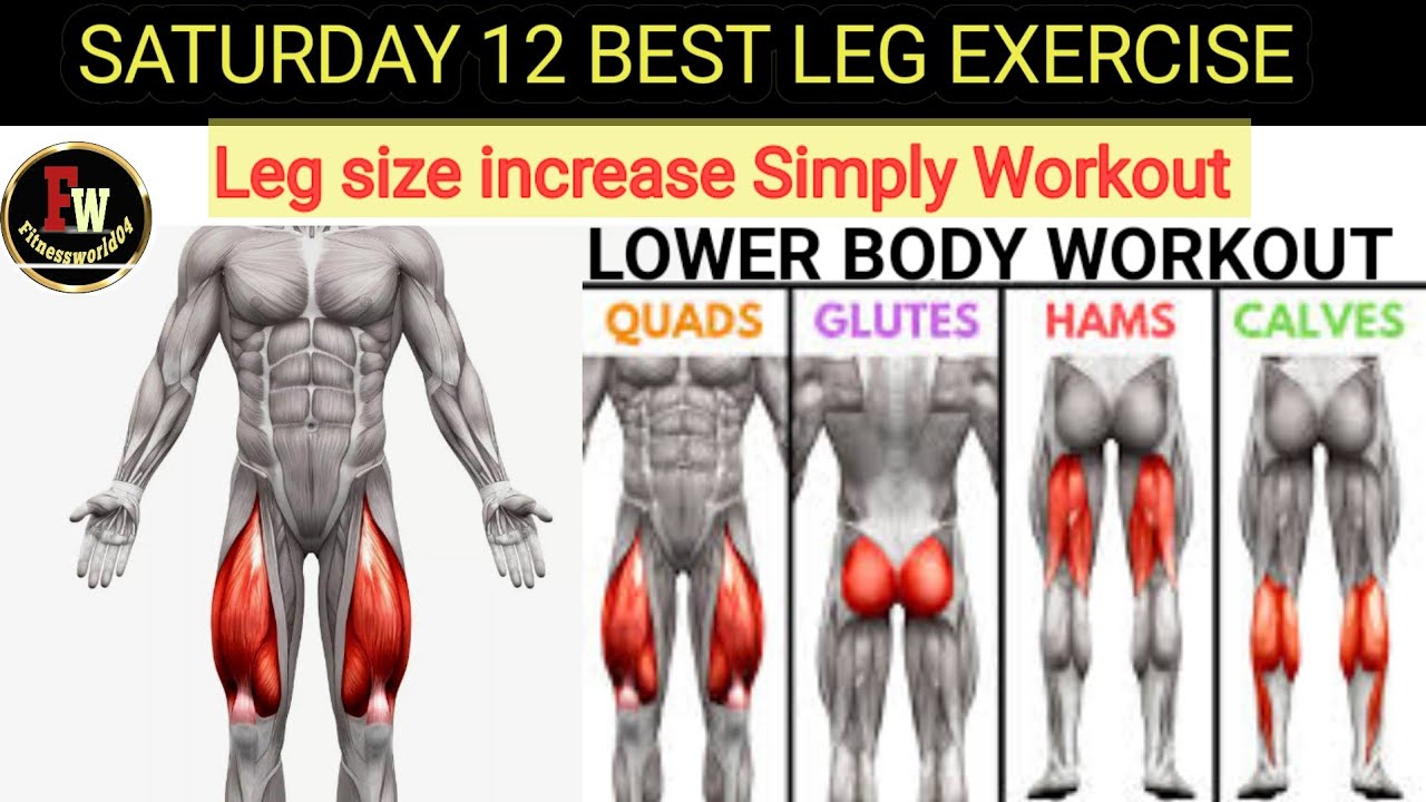 Leg workout Saturday weekly schedule Leg day, leg full size increase ...