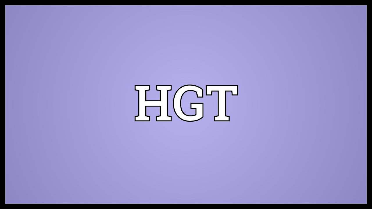 HGT Meaning - YouTube