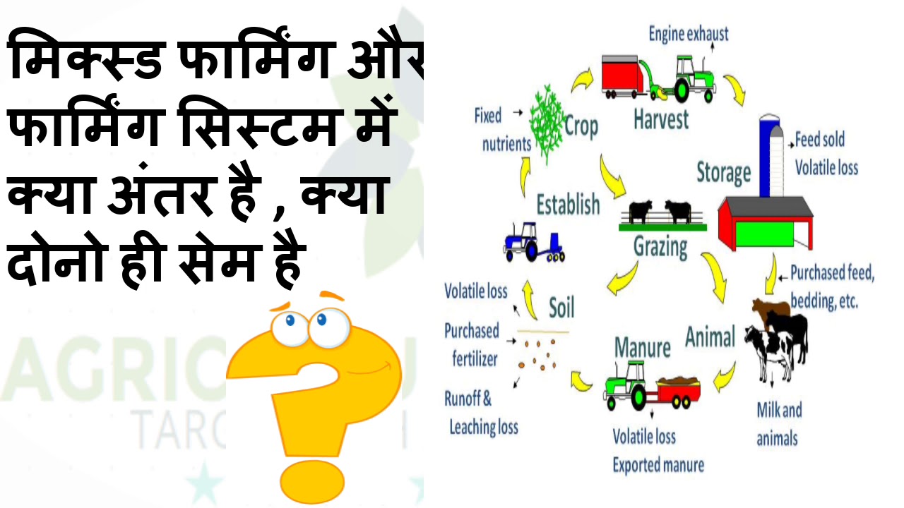 What Is The Difference Between Mixed Farming And Farming System YouTube what-is-the-difference-between-mixed-farming-and-farming-system-youtube