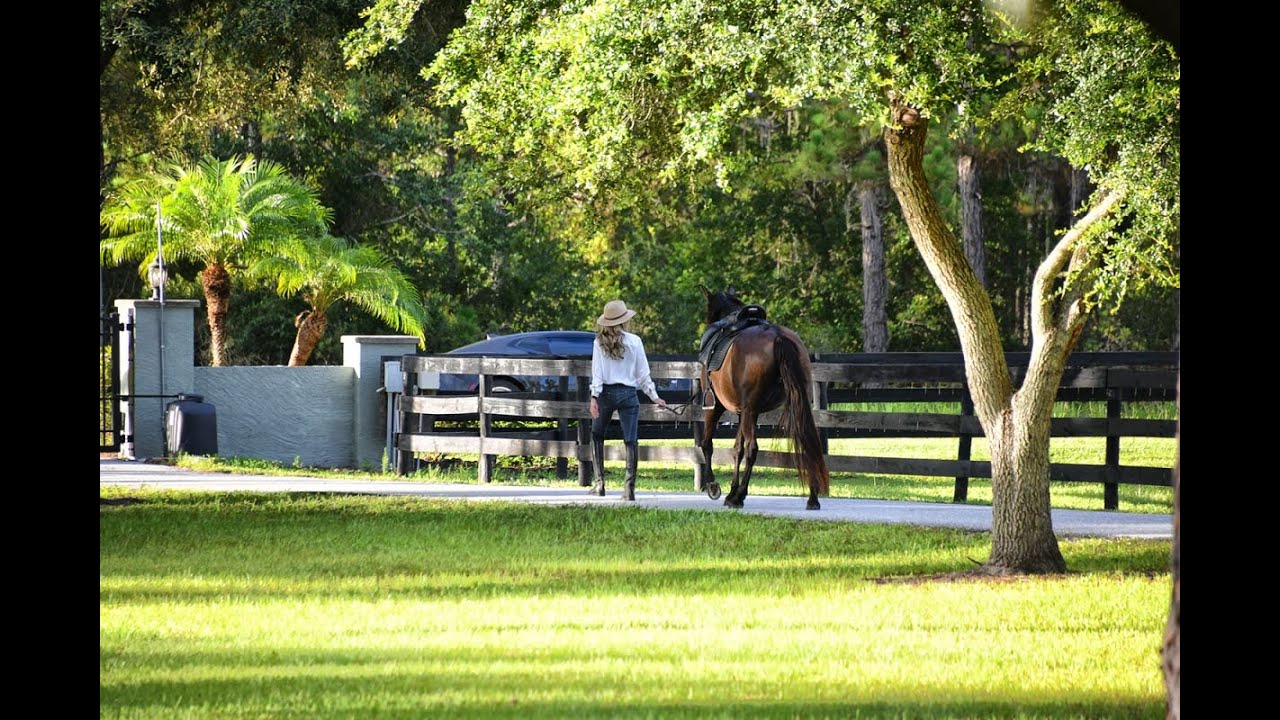 Panther Ridge, Lakewood Ranch FL - YouTube