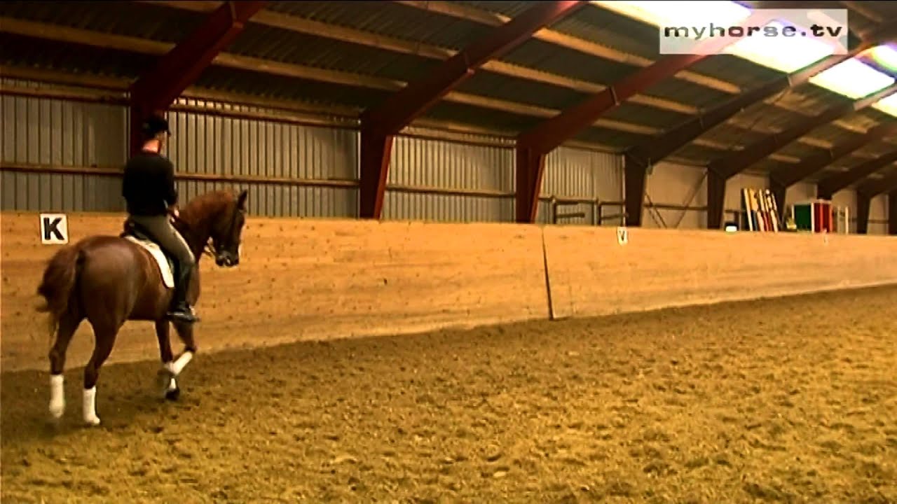 Dressage Exercise - Half-Pass - YouTube
