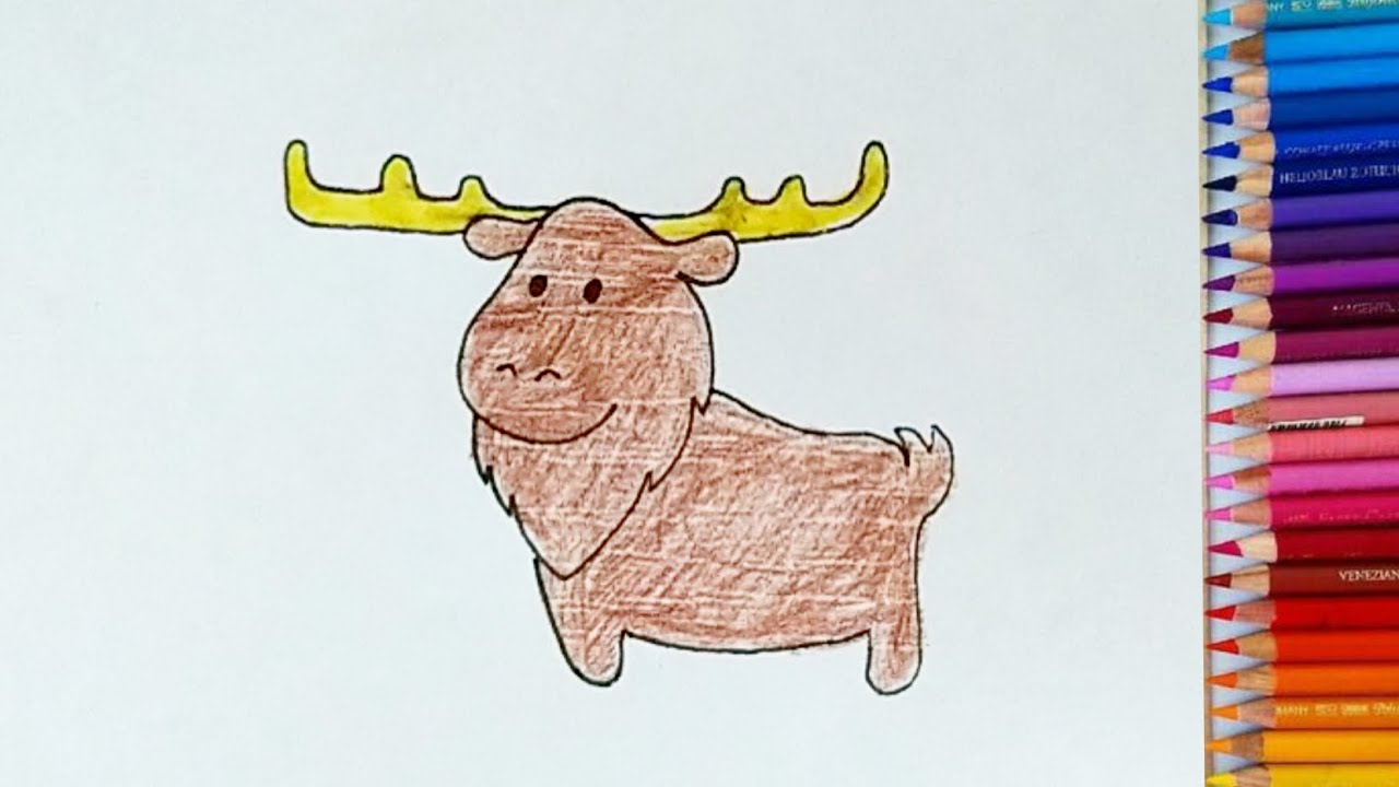 How to draw a moose #drawing for kids - YouTube