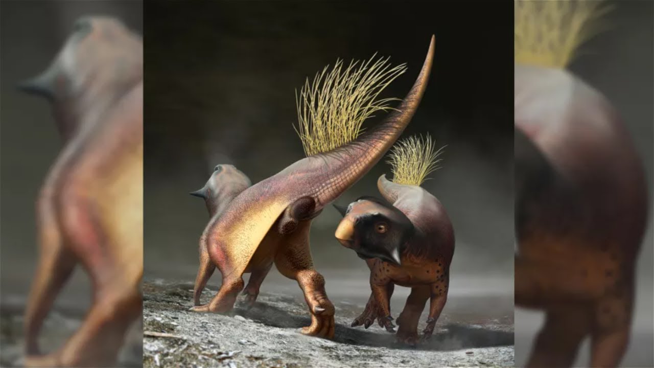 Dinosaur Butt discovered: "perfect" and "unique" - YouTube