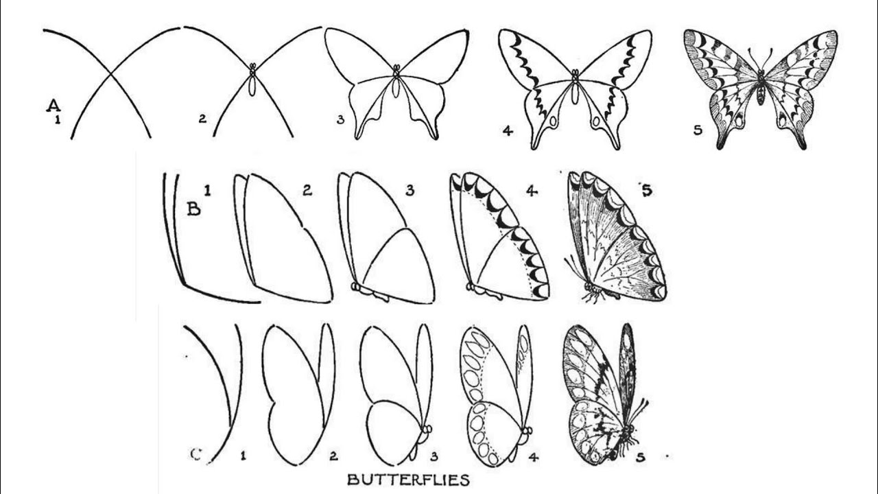 Butterfly Drawing tutorial | Interesting way to draw Butterfly - YouTube