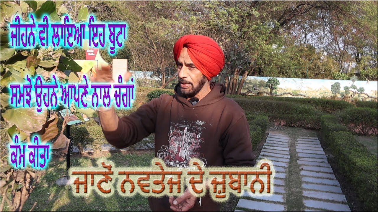Rashi Tree ।Navtej Singh। #rashi #rashifal - YouTube