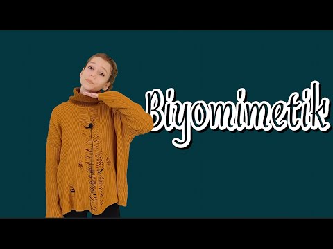 Biyomimetik Nedir?