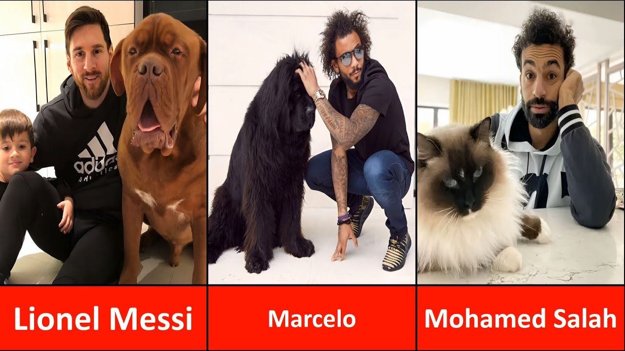 famous footballers and their dogs / pets, Lionel Messi, Cristiano ...