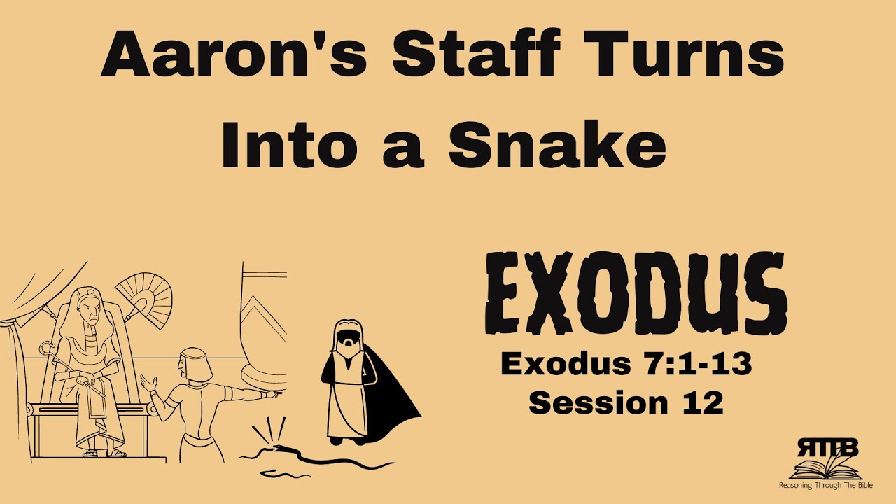 Aaron's Staff Turns Into a Snake (Exodus 7:1-13) - Session 12 - YouTube