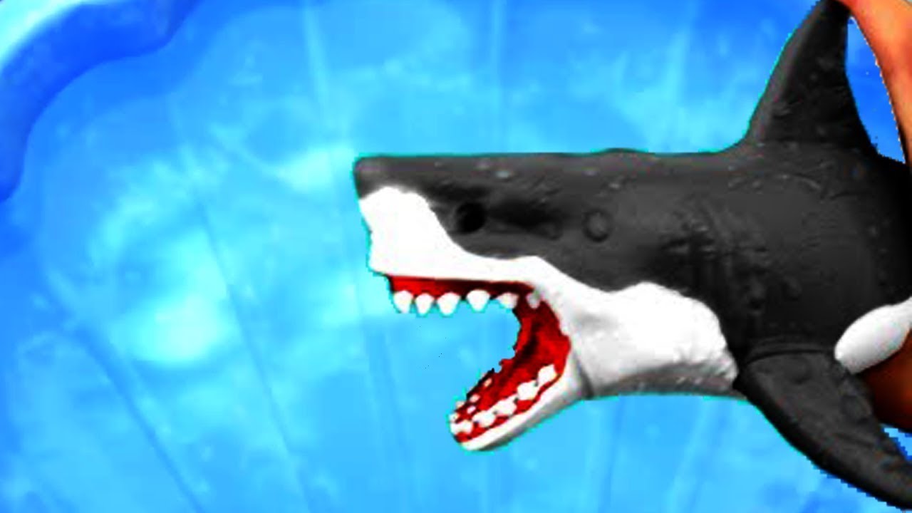 Learn Colors With Sea Wild Animals and Animal Names | Pool Water Colors ...