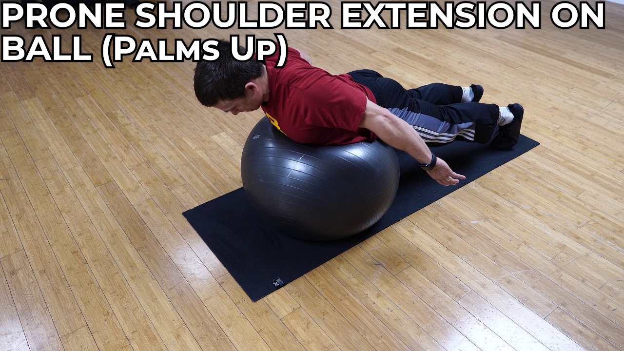 Prone Shoulder Extension