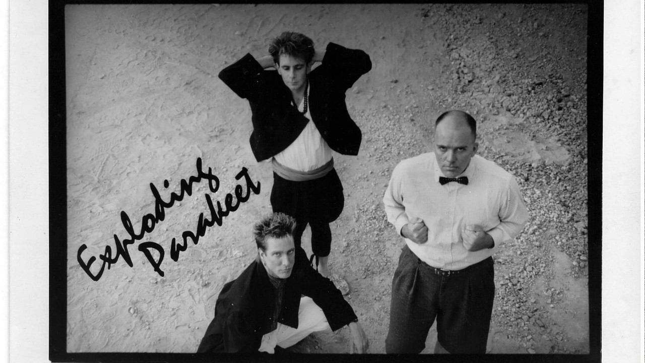 Exploding Parakeet - Talk - YouTube