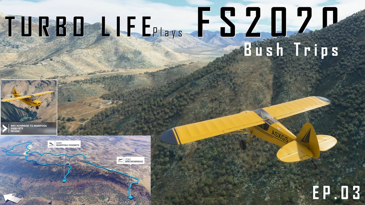 Flight Simulator 2020 | Bush Trips | EP.03 - YouTube