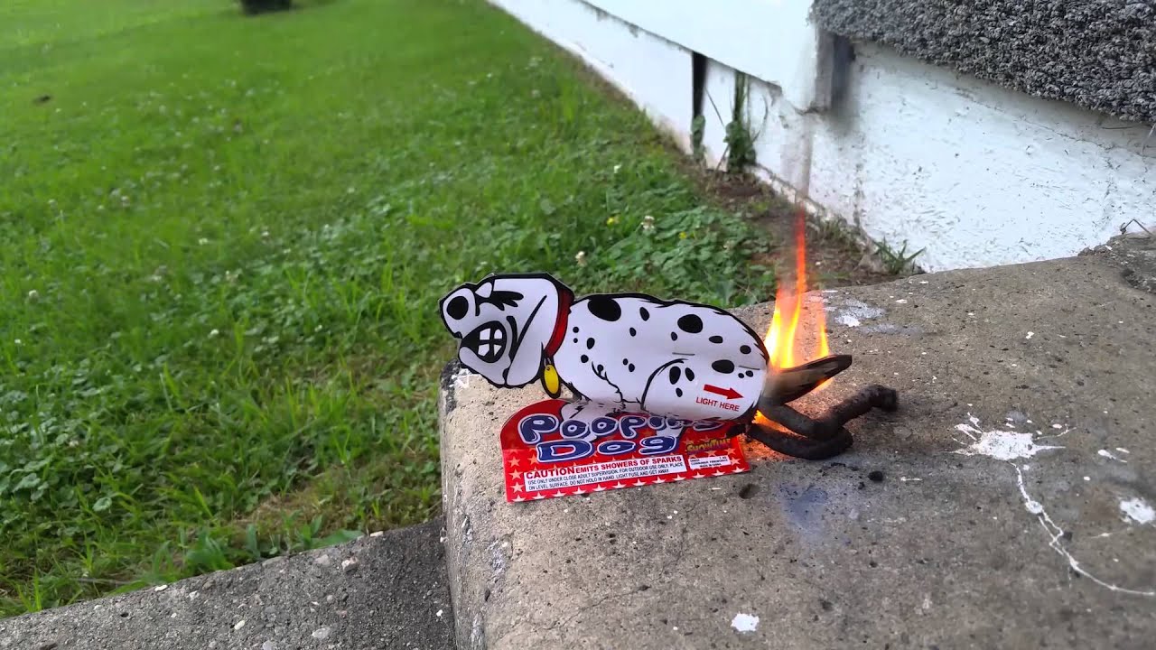 Pooping dog firework - YouTube
