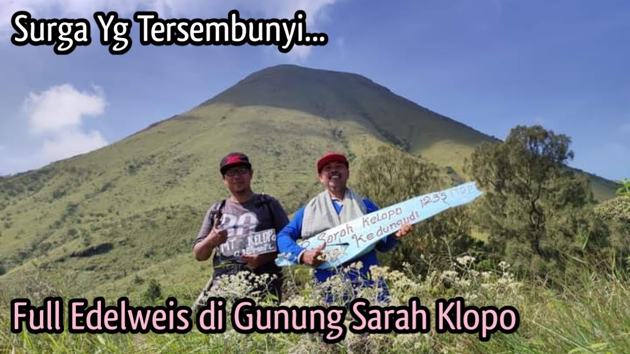 Pendakian Sarah Klopo # 3 Full Bunga Edelwais - YouTube