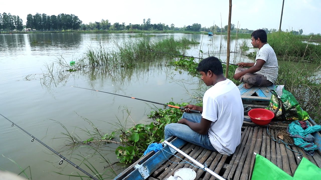 চলনবিলে পাগল করা মাছ ধরলাম | Chalan Beel Fishing | 2024 - YouTube