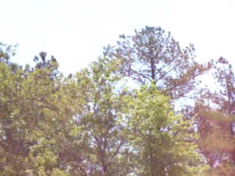 SC Hwy 31 Fire - YouTube