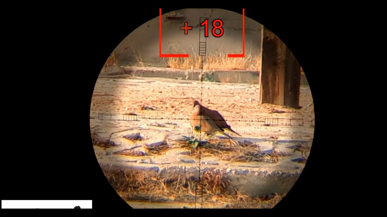 NEW VIDEO AVAILABLE SOON - YouTube