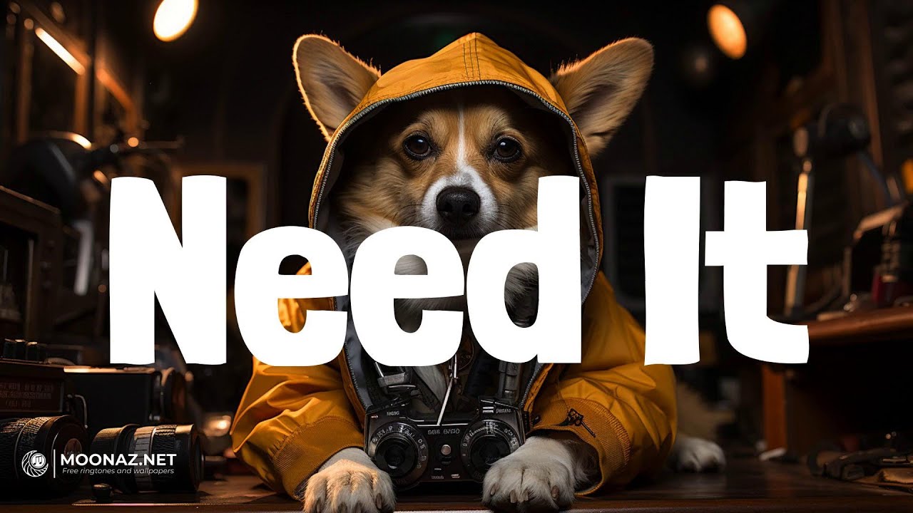 Migos - Need It | LYRICS | Luv 4 My Block - Sha EK - YouTube