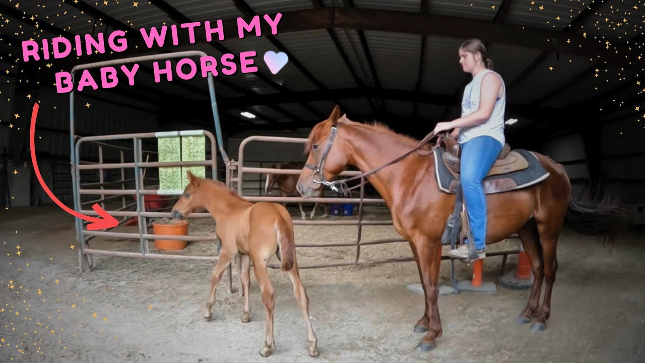 Riding My Horse With Foal Alongside💞 - YouTube