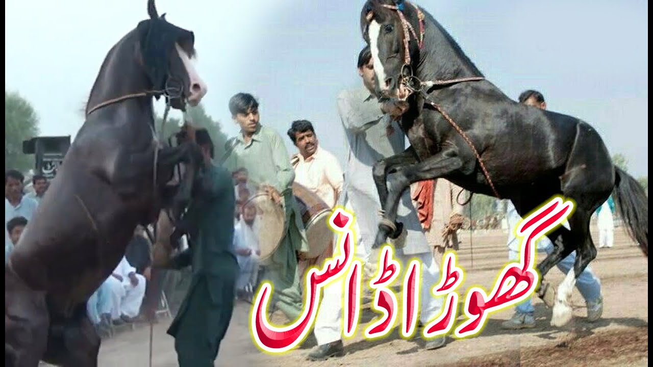Ghora Dance l Pakistan Punjab Horse Dance l Ghora Dance with Dhol l VG ...