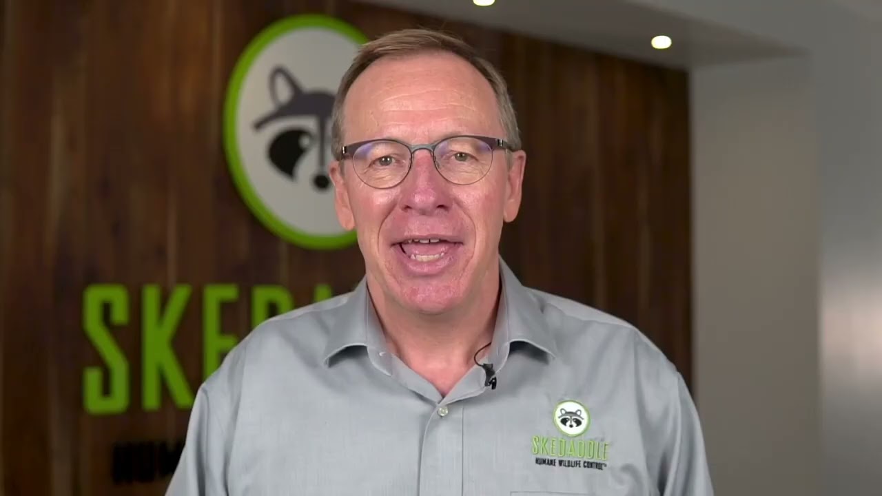 Skedaddle Brand Overview With Founder/CEO Bill Dowd - YouTube