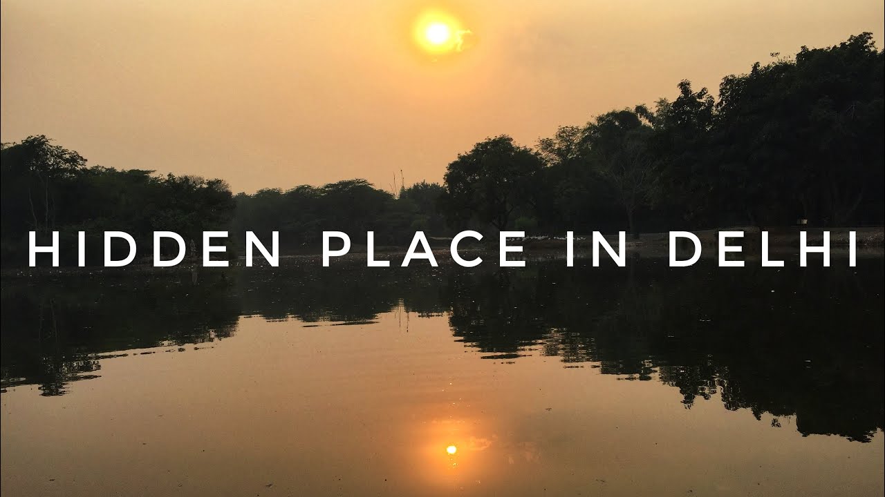 A DAY IN TANKUSH AND SANJAY VAN | Starrtimeline | Vlog 1 - YouTube