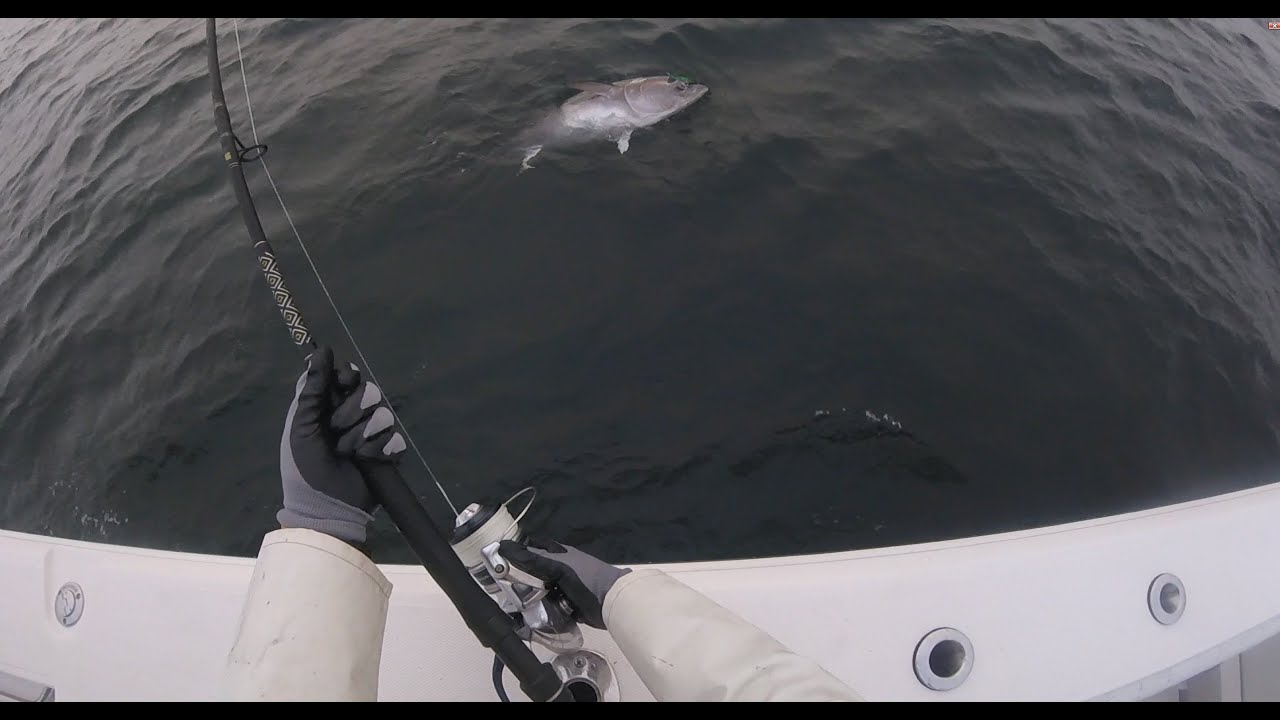 Cape Cod Bluefin Tuna 2023 - YouTube