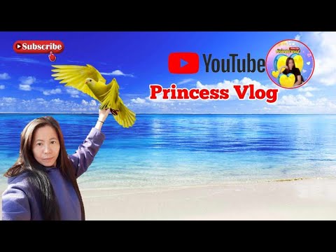 Princess Vlog is live!April 19 💙💛 Good morning everyone thank you for ...