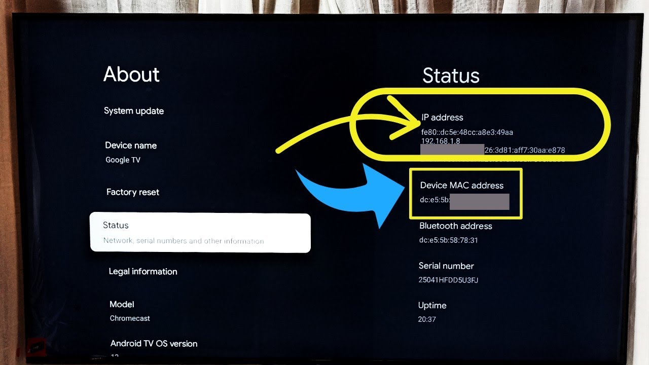 TCL Smart Google TV : How to Find IP Address and MAC Address | 2 Ways ...